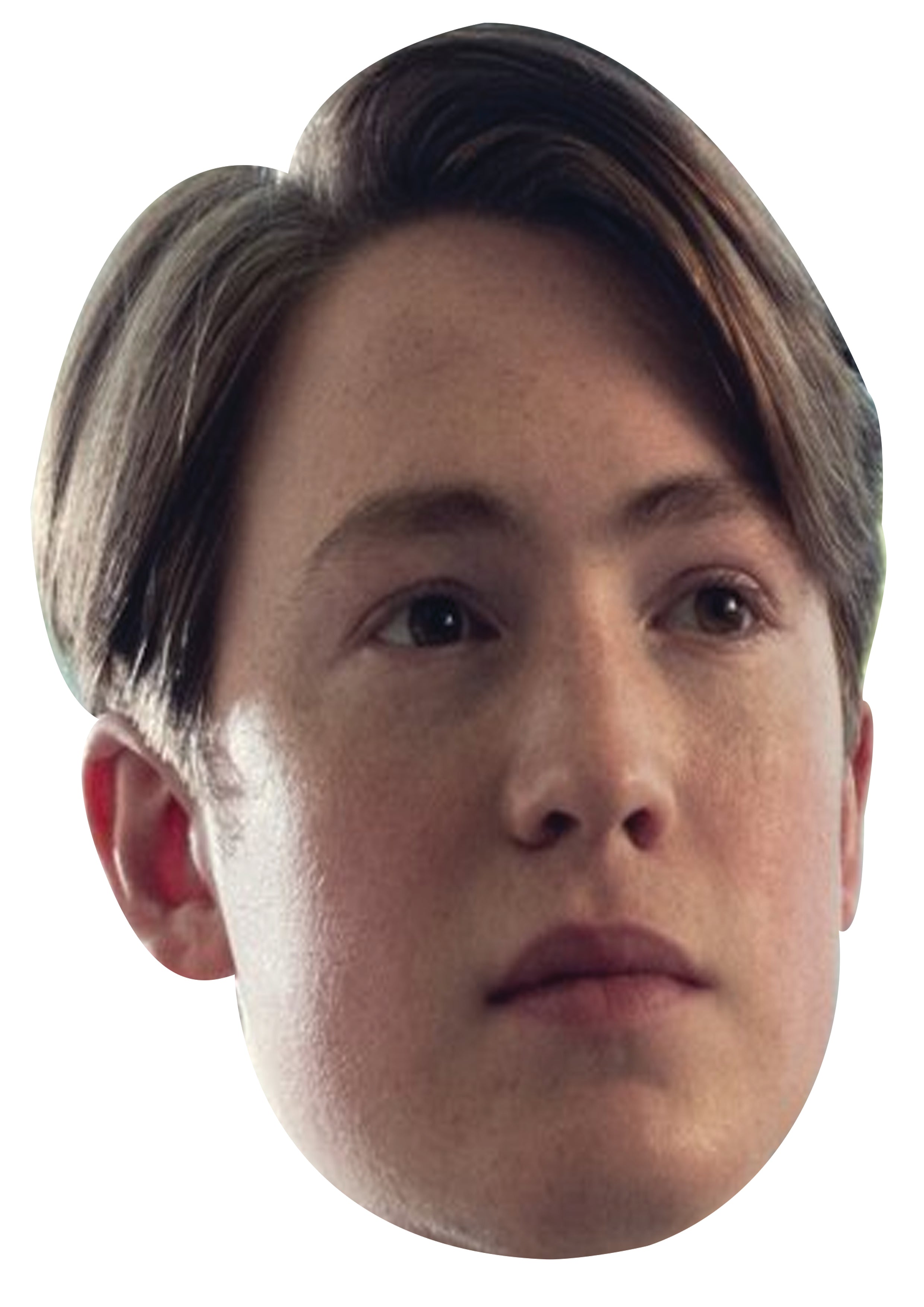 Kit Connor - Heartstopper Celebrity Face Mask Fancy Dress Cardboard Co