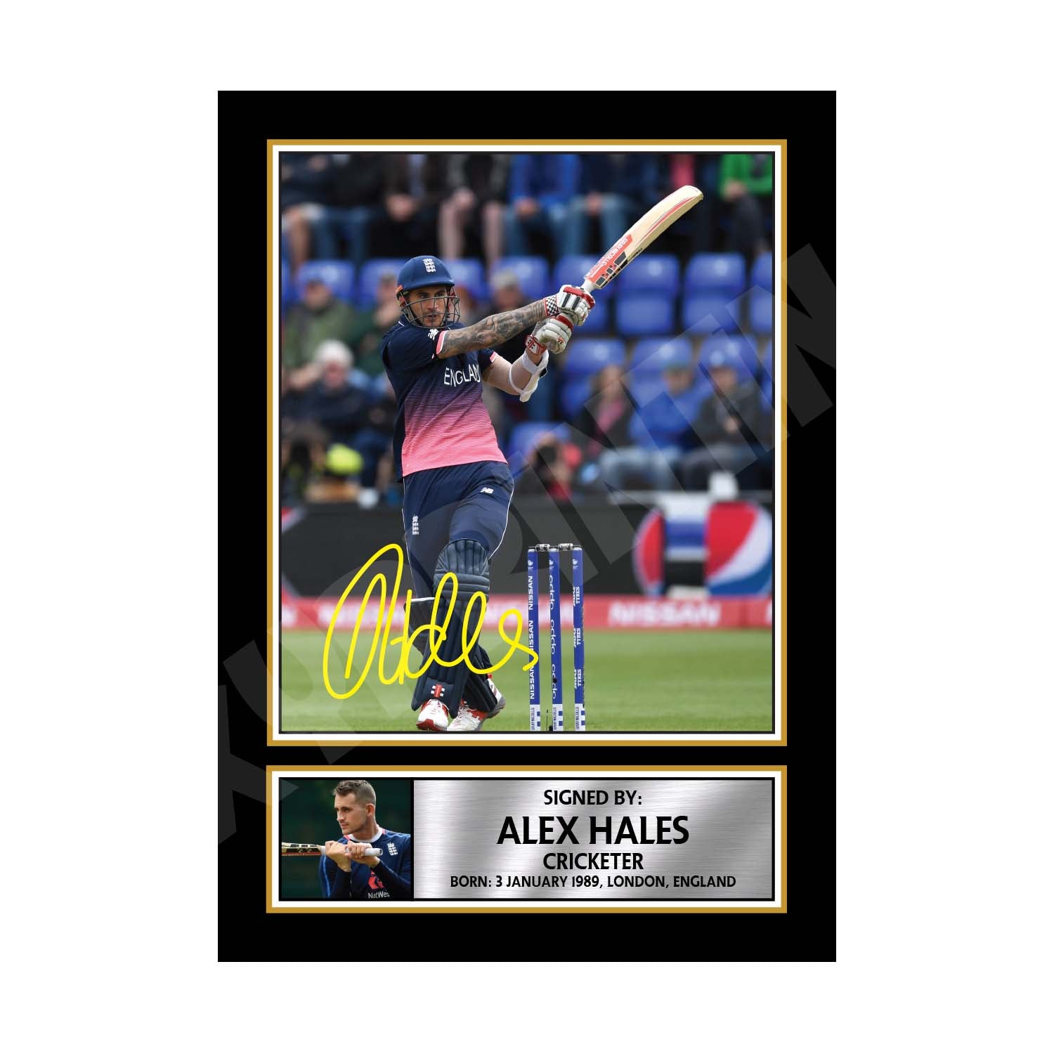 ALEX HALES 2 Limited Edition Cricketer Signed Print - Cricket Player