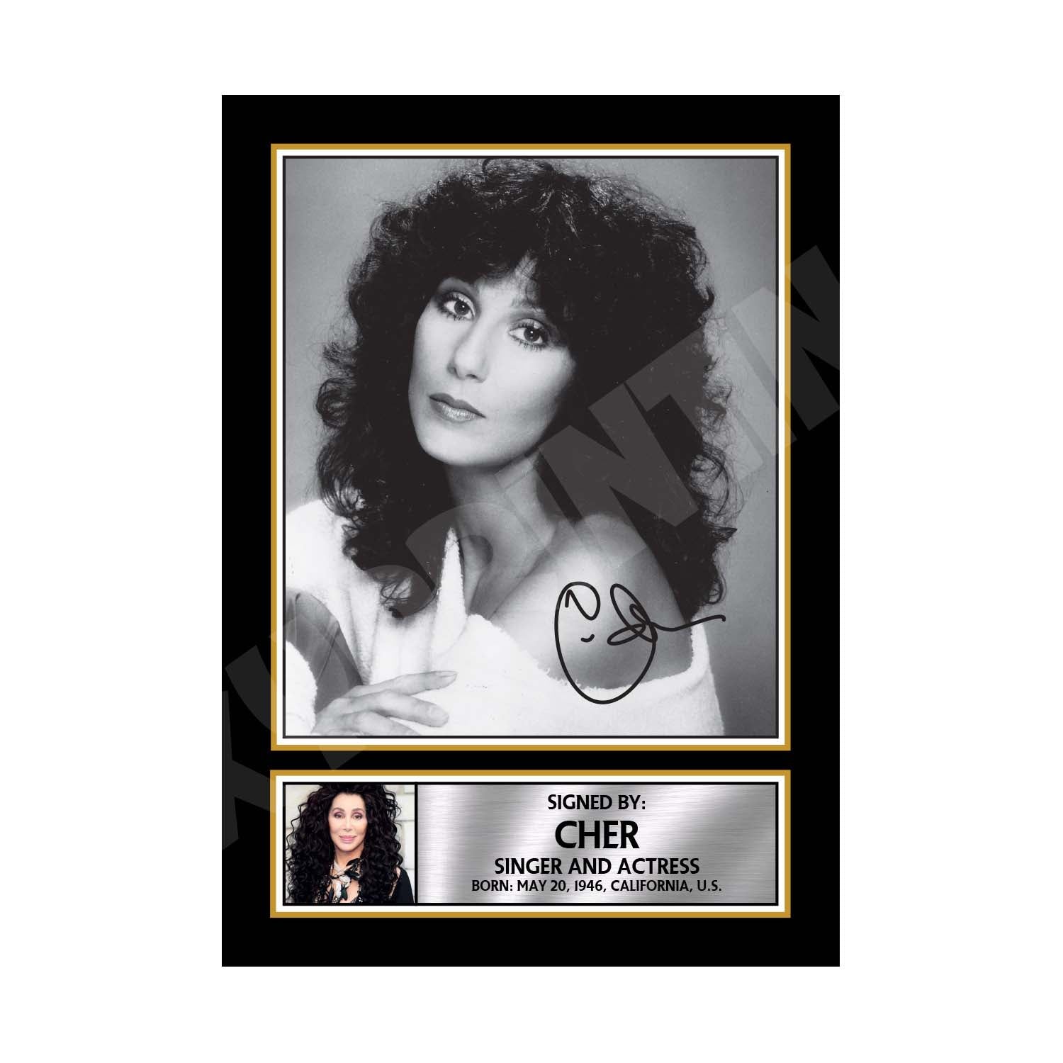 CHER (1) Limited Edition Music Signed Print