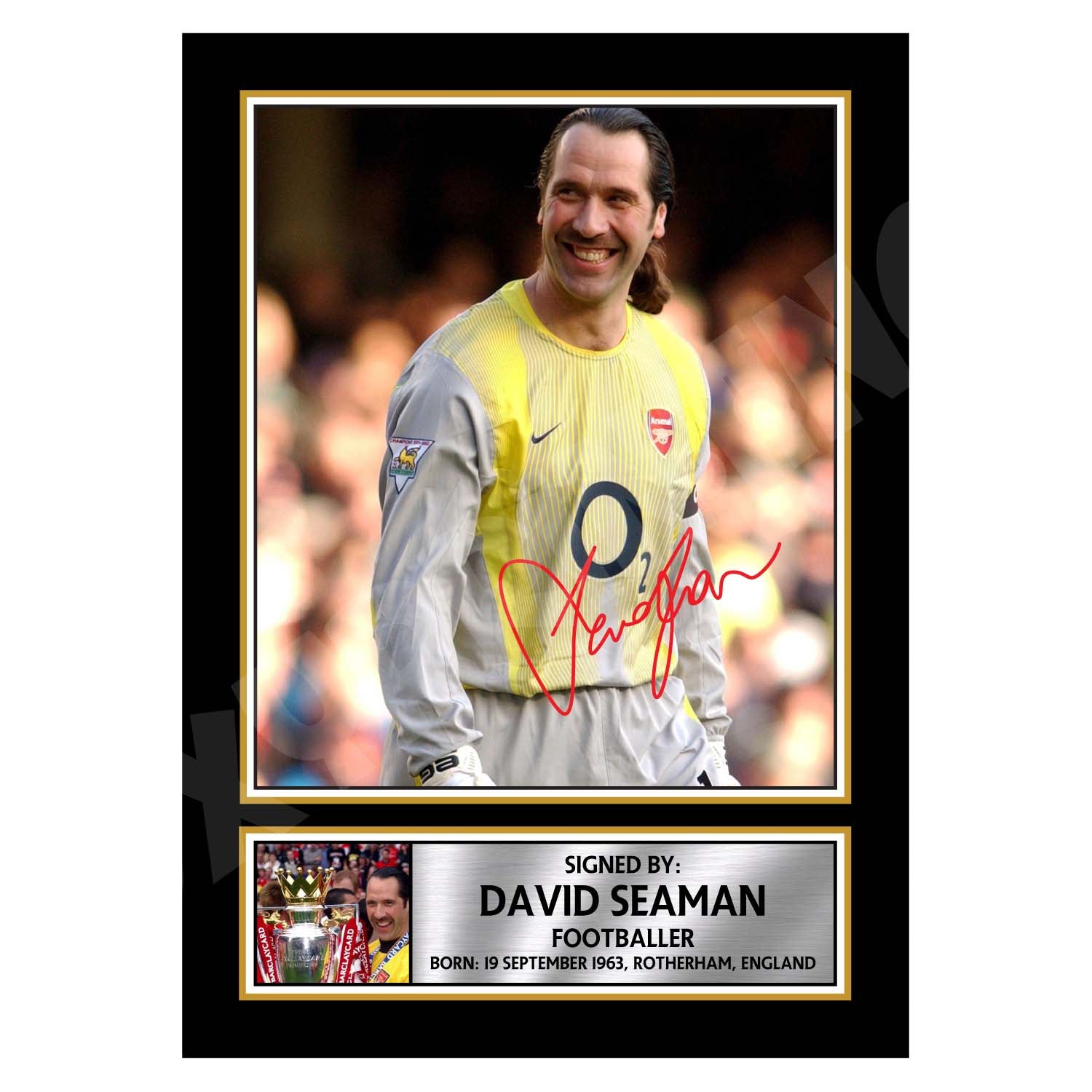 DAVID SEAMAN 2 Limited Edition Football Player Signed Print - Football