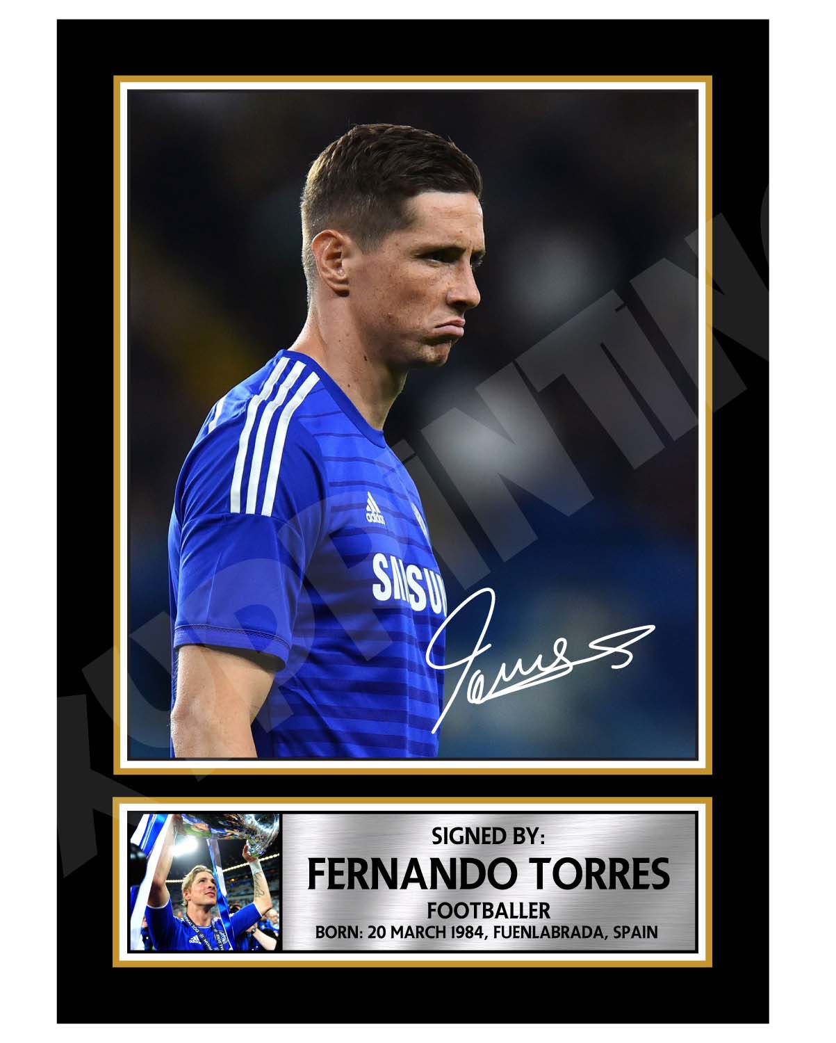 FERNANDO TORRES Limited Edition Football Player Signed Print - Footbal