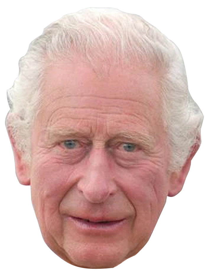 KING CHARLES III Royal Fancy Dress Cardboard Celebrity Party Face Mask