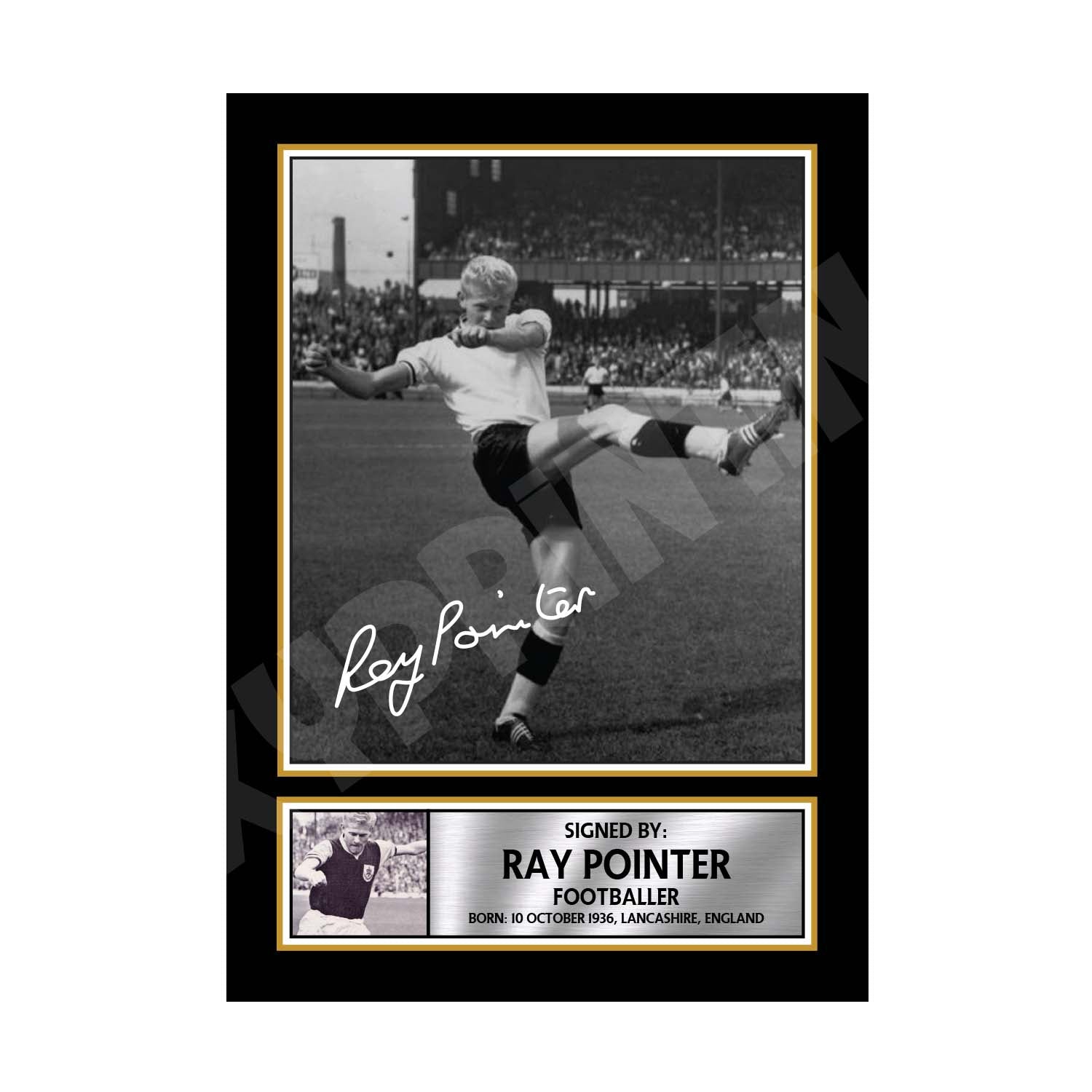 RAY POINTER 2 Limited Edition Football Player Signed Print - Football