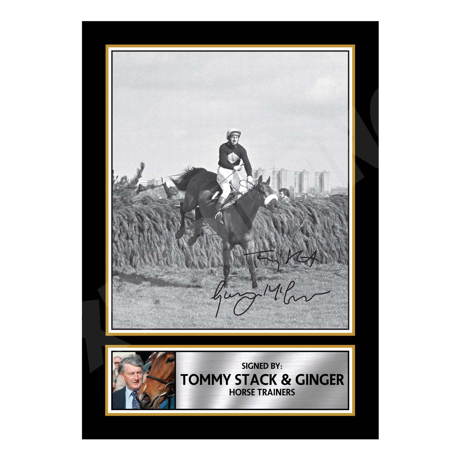 TOMMY STACK _ GINGER 2 Limited Edition Horse Racer Signed Print - Hors